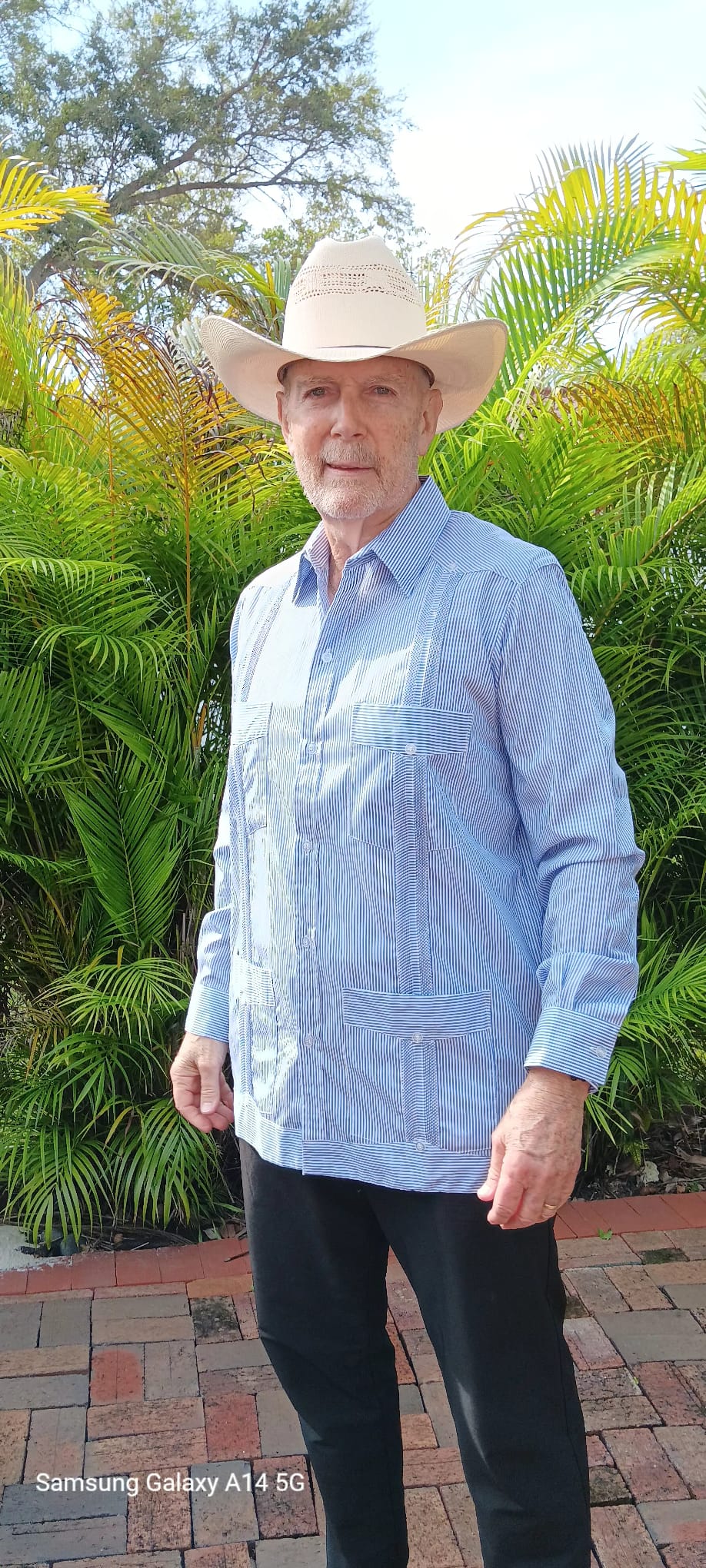 Men's Cuban Guayabera Long Sleeve Blue White Stripes Pima Cotton D ...